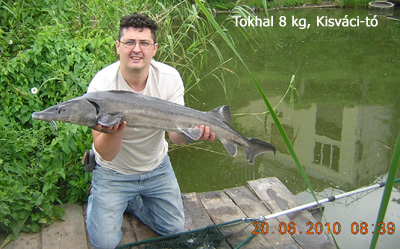 APATITDENT FOGÁSZAT